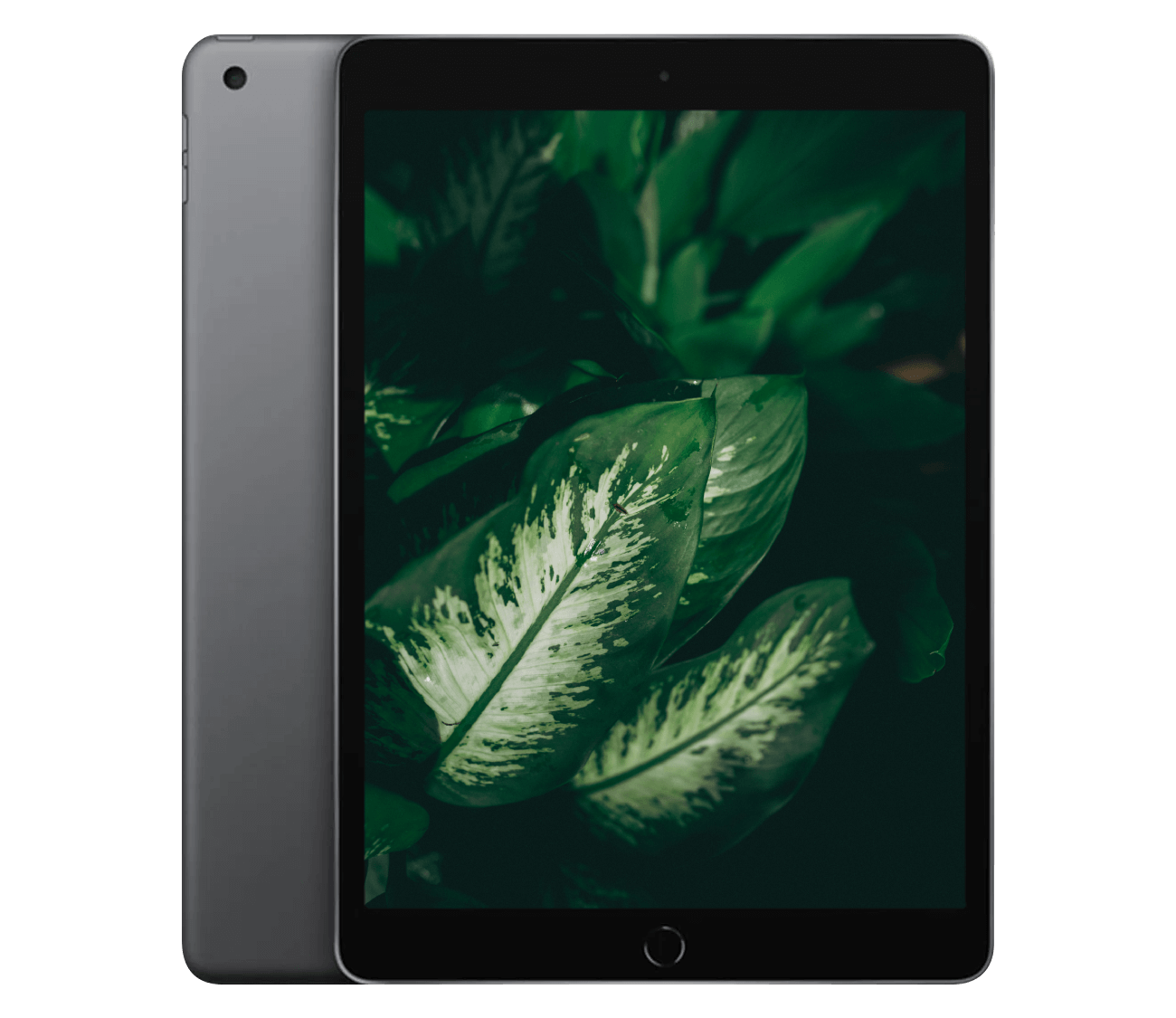 iPad 8 (2020) 10.2" WiFi / 4G - Billigt hos iDevice